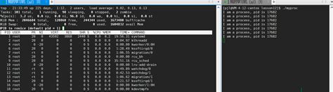 【linux】进程优先级 toy模板网