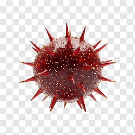 Red Virus Representation With Spikes And Golden Particles Red Virus Viral Structure Pathogen