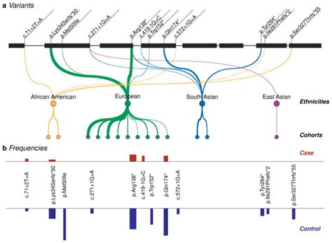 Loss Of Function Mutations In Slc30a8 Protect Against Type 2 Diabetes Pmc