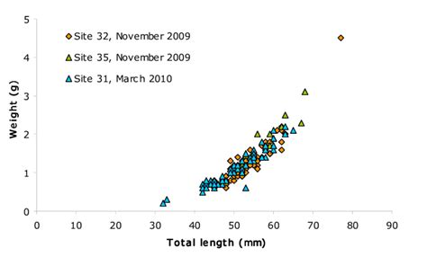 Comparison Of Weight Versus Length Of Murray Hardyhead From The Three