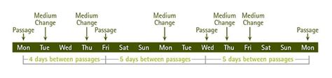 Stem Cell Exhaustion Life Science Research Merck
