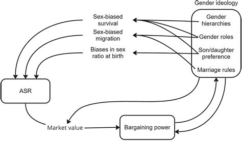 Sex Ratios And Gender Norms Why Both Are Needed To Understand Sexual