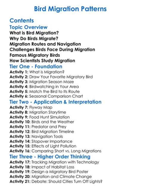 Bird Migration Patterns 20 Differentiated Activities By Missbrightspark