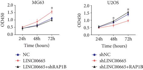 LINC00665 Exercises Its Biological Functions By Mediating RAP1B A B
