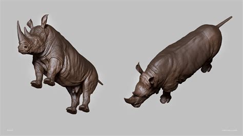 Artstation Rhino Resources