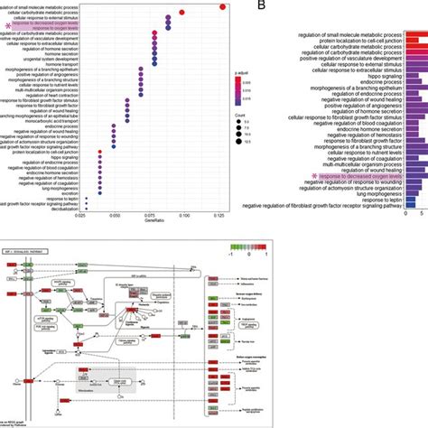 The Hif 1 Signaling Pathway Is Involved In The Biological Processes Of
