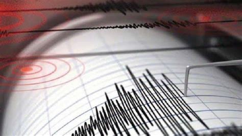 Gempa Hari Ini Magnitudo 45 Guncang Yalimo Papua