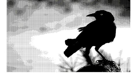 Indeterminate Values In Image Download Scientific Diagram