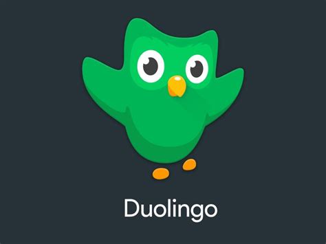 A Green Bird With Big Eyes And The Word Duolingo On Its Face