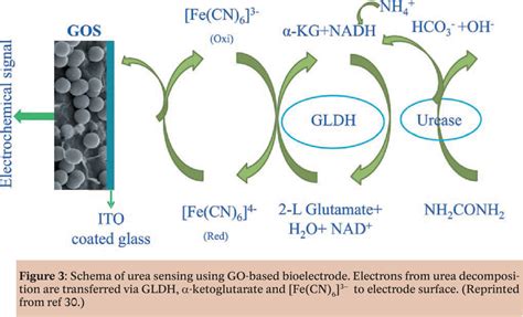 Electrochemical Deposition Of Graphene At Keith Joseph Blog