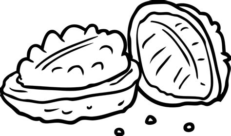 Line Drawing Of A Walnuts 12549257 Vector Art At Vecteezy
