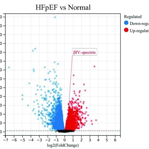 Dysregulation Of βiv Spectrin In Heart Failure With Preserved Ejection