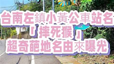 台南左鎮小黃公車站名「摔死猴」 超奇葩地名由來曝光 Youtube