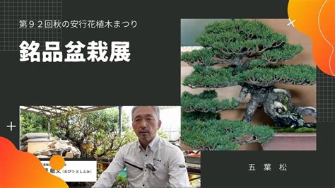 第92回秋の安行花植木まつり 銘品盆栽展 安行小梅園 小櫃敏文氏 YouTube