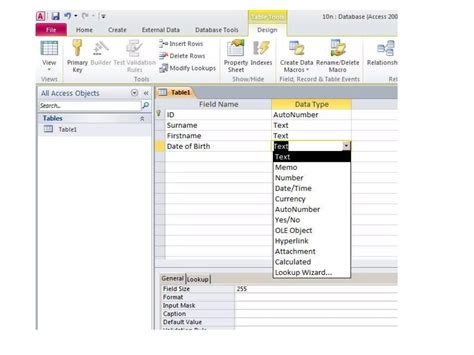 Database Field Types Ppt