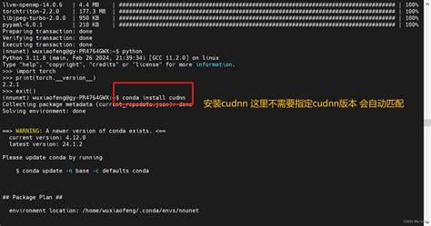 Nnunetv2服务器安装教程及训练自己的二维数据nnu Netv2 Csdn博客