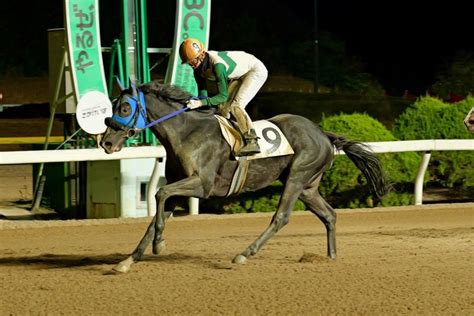 石川倭騎手1000勝達成｜ニュース｜ホッカイドウ競馬