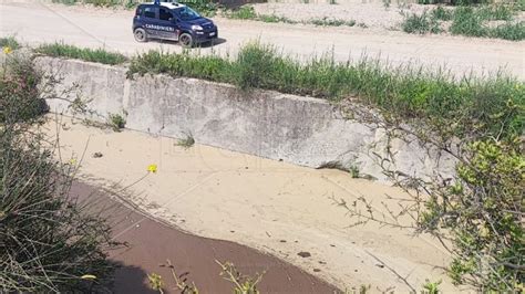Disastro di Scala Coeli agricoltore denuncia pale in azione sul greto del Nicà Carabinieri sul