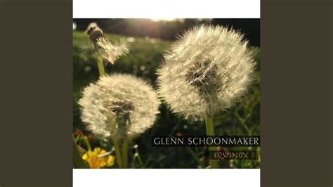 Your Brightness Youtube