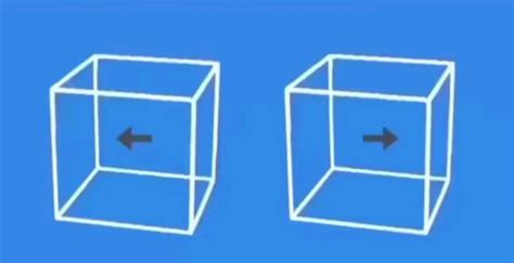 These Boxes Arent Moving At All Rwoahdude