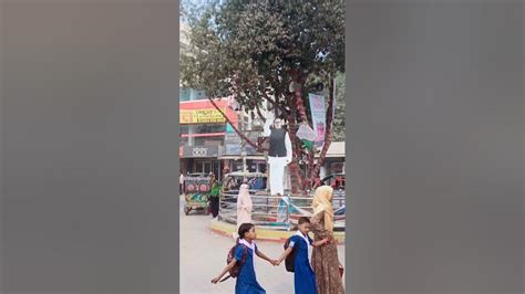 বকুল তলার বকুল গাছ জামালপুর Youtube