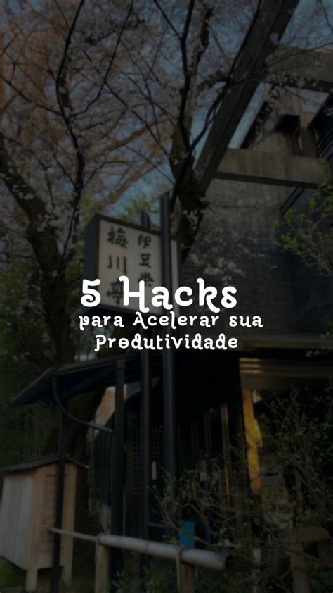notion sushi produtividade e organização notionsushi instagram