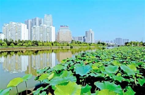 连云港计划2023年完成绿化造林20850亩 荔枝网新闻