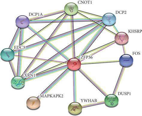 A Screening Map Of The Intersection Gene B C Go Enrichment