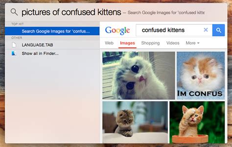 Add Superpowers To Spotlight With This Unofficial Plugin System