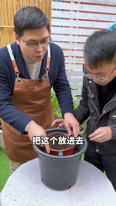 这样换盆不伤根，还快速服盆花卉绿植 养花小知识 分享养花经验 Youtube