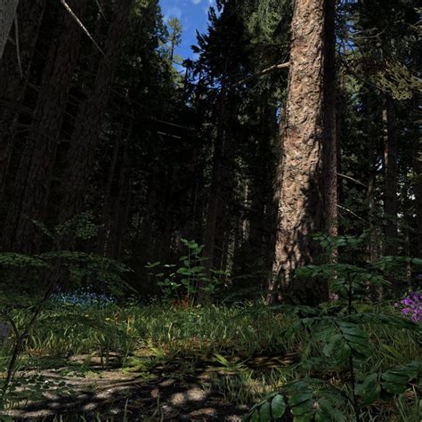 Complex Grass Lighting Comparisons Rskyrimvr