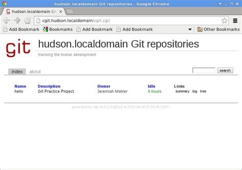 Setting Up Cgit With Gitolite