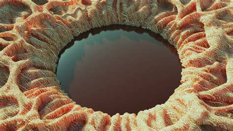 Electron Microscope Human Eye