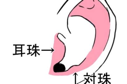 耳朵怎么画好看动漫耳朵的画法 凤凰网