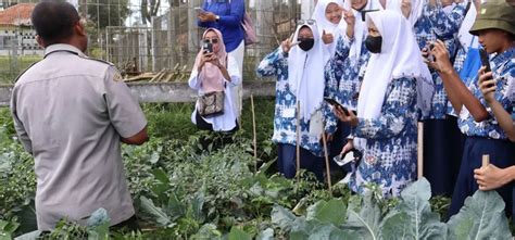 Outing Class Observasi Mtsn 17 Jakarta