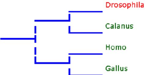 Example Subtree Extraction Download Scientific Diagram