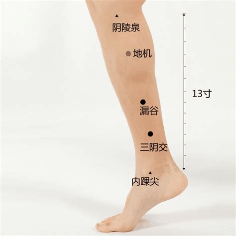 57个实用穴位，人人都能用得到，超通俗介绍，一看就懂 知乎
