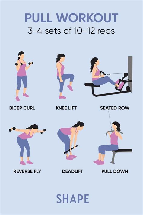 Create A Push And Pull Day Workout Plan With These Exercises Pull Day Workout Push Workout