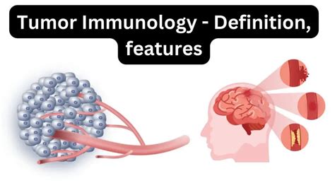 Anatomical And Physiological Barriers Of Immune System Biology Notes