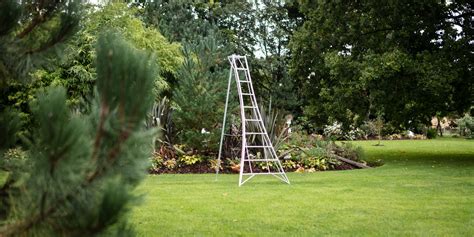 Orchard Standard Tripod Ladders Orchard Ladders Garden Tripod Ladders