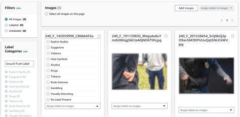 사용자 지정 조절 어댑터 자습서 Amazon Rekognition