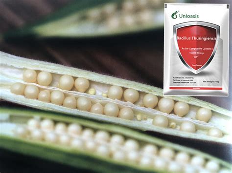 Crop Pests Biological Insecticides Bacillus Thuringiensis For Caterpillars
