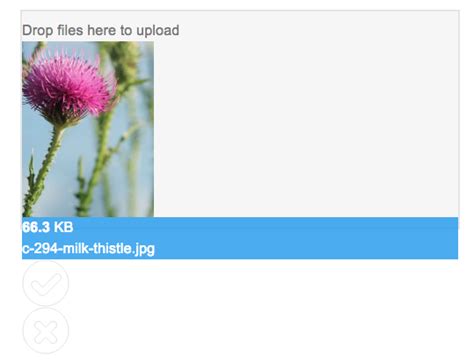 Css Is Broken After Update · Issue 431 · Rowanwinsvue Dropzone · Github