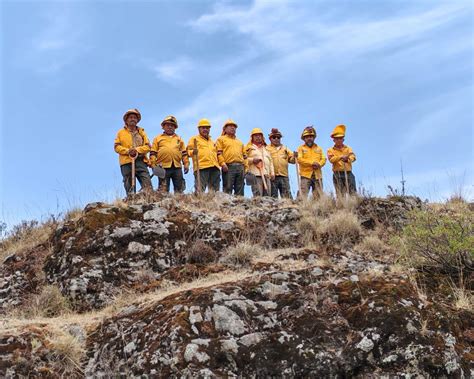 Brigadistas Protegen El Suelo De Conservación En Cdmx Y Combaten Más De