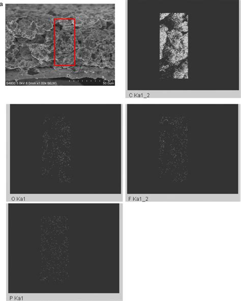 The Sem Side View Of Bare Anode A And Sample 2 Anode B After