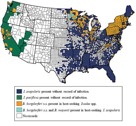 Us Distribution Of Lyme Disease Causing Bacteria In Ticks