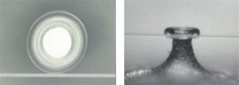 Coupling Between Microtoroid And Fiber Taper A Top View B Side Download Scientific