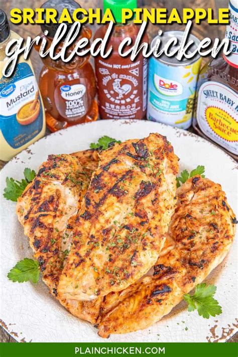 Marinated Grilled Hot Dogs Plain Chicken