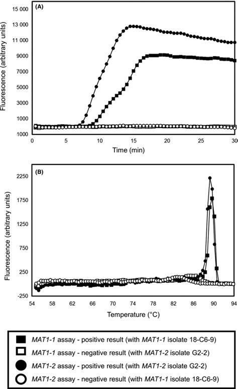 First Application Of Loop‐mediated Isothermal Amplification Lamp Assays For Rapid