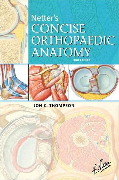 Netter S Concise Orthopaedic Anatomy By Jon C Thompson EBook Barnes Noble